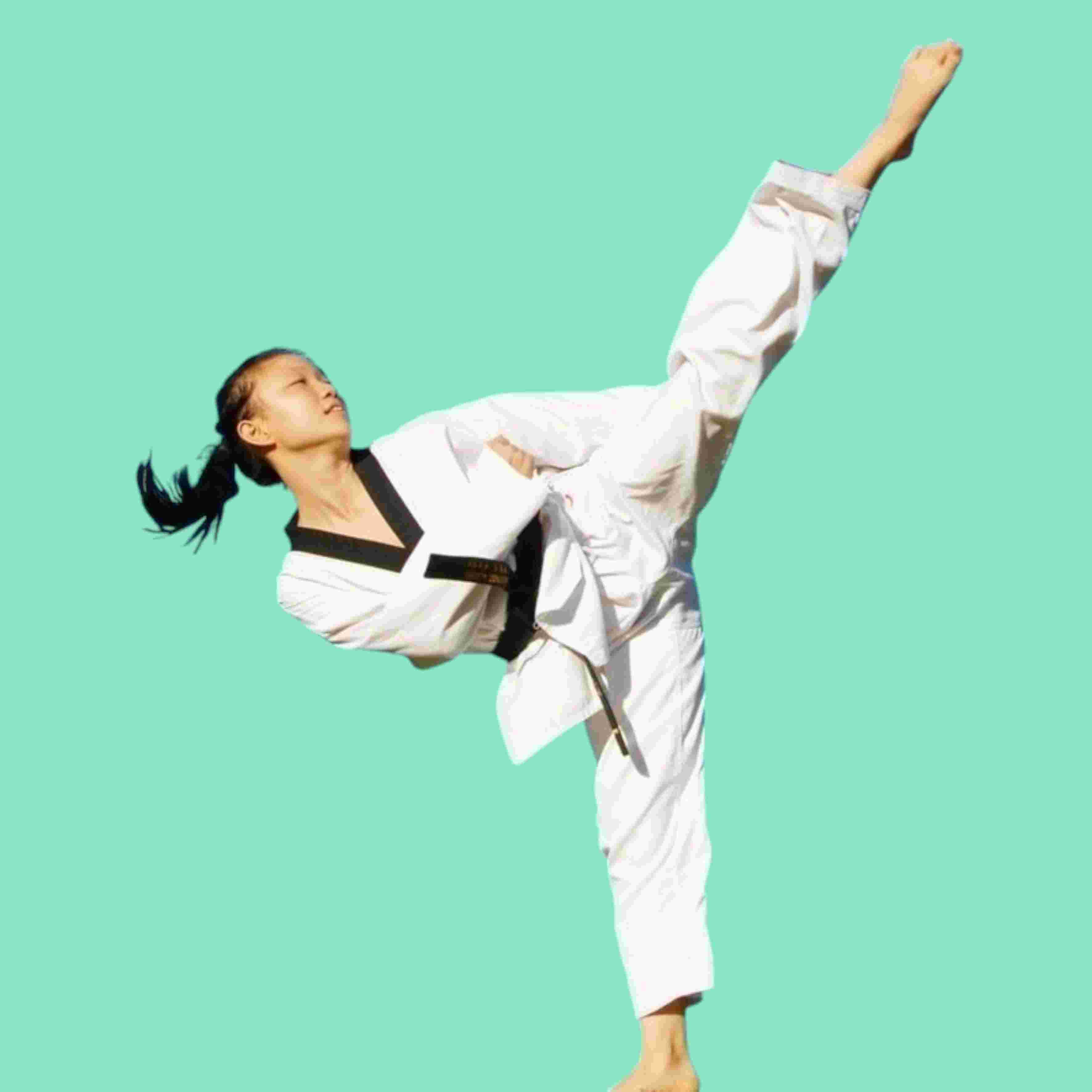 Kung Fu Mascot | Adults & kids Kung Fu in Mascot